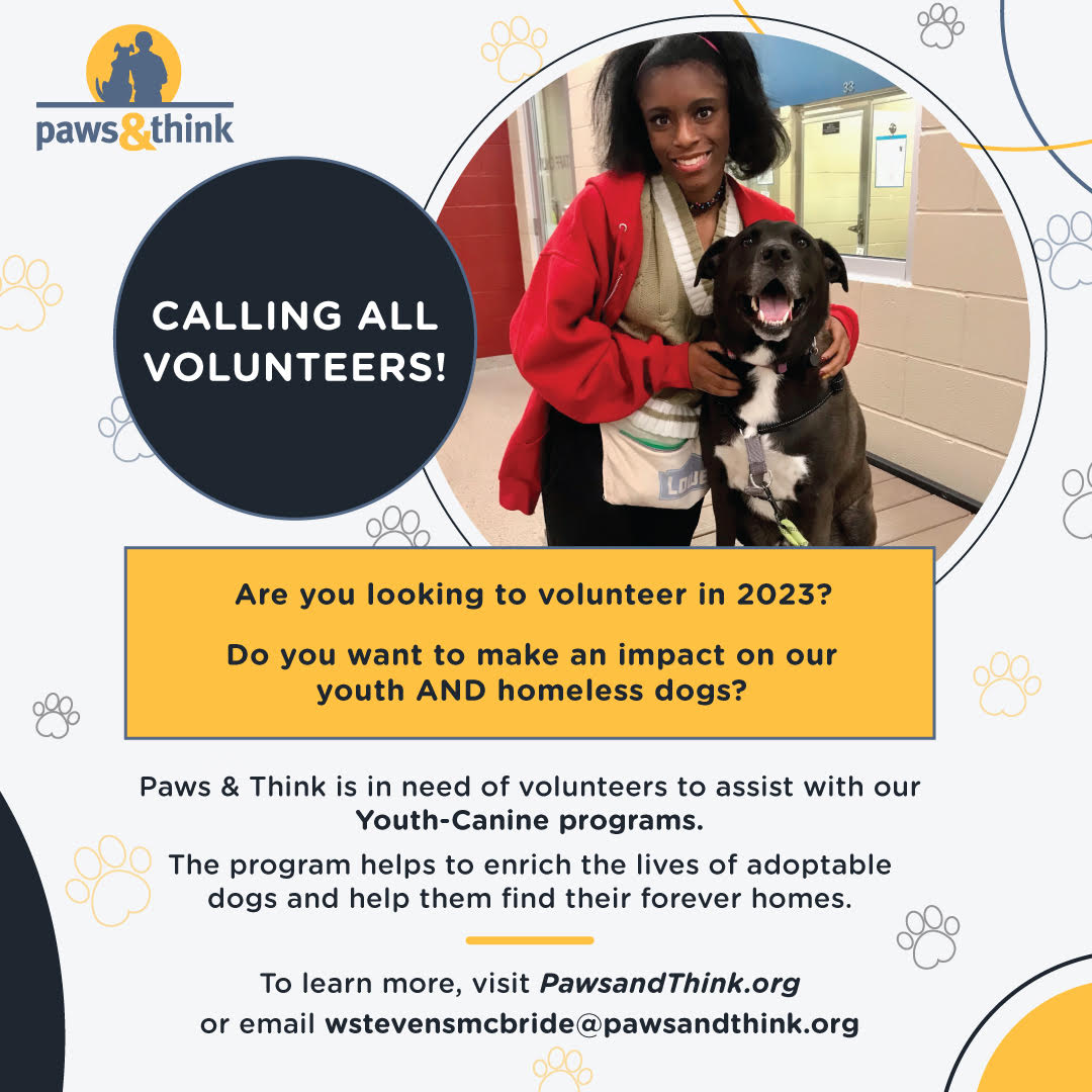 Volunteers Needed for Youth-Canine Evening Care Program - Paws & Think